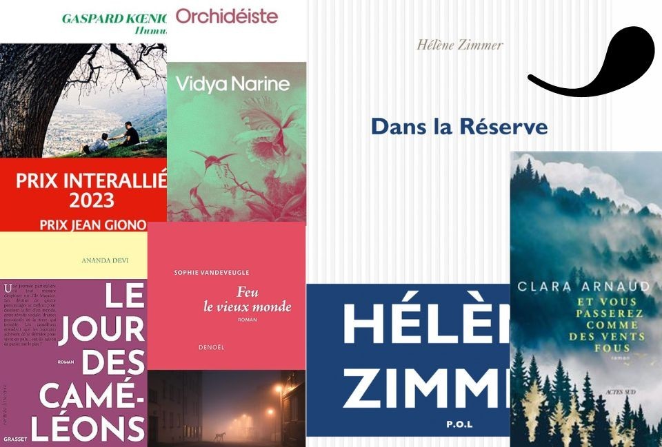 Les 9 Types de Narrateurs : une palette de possibilités pour votre ...